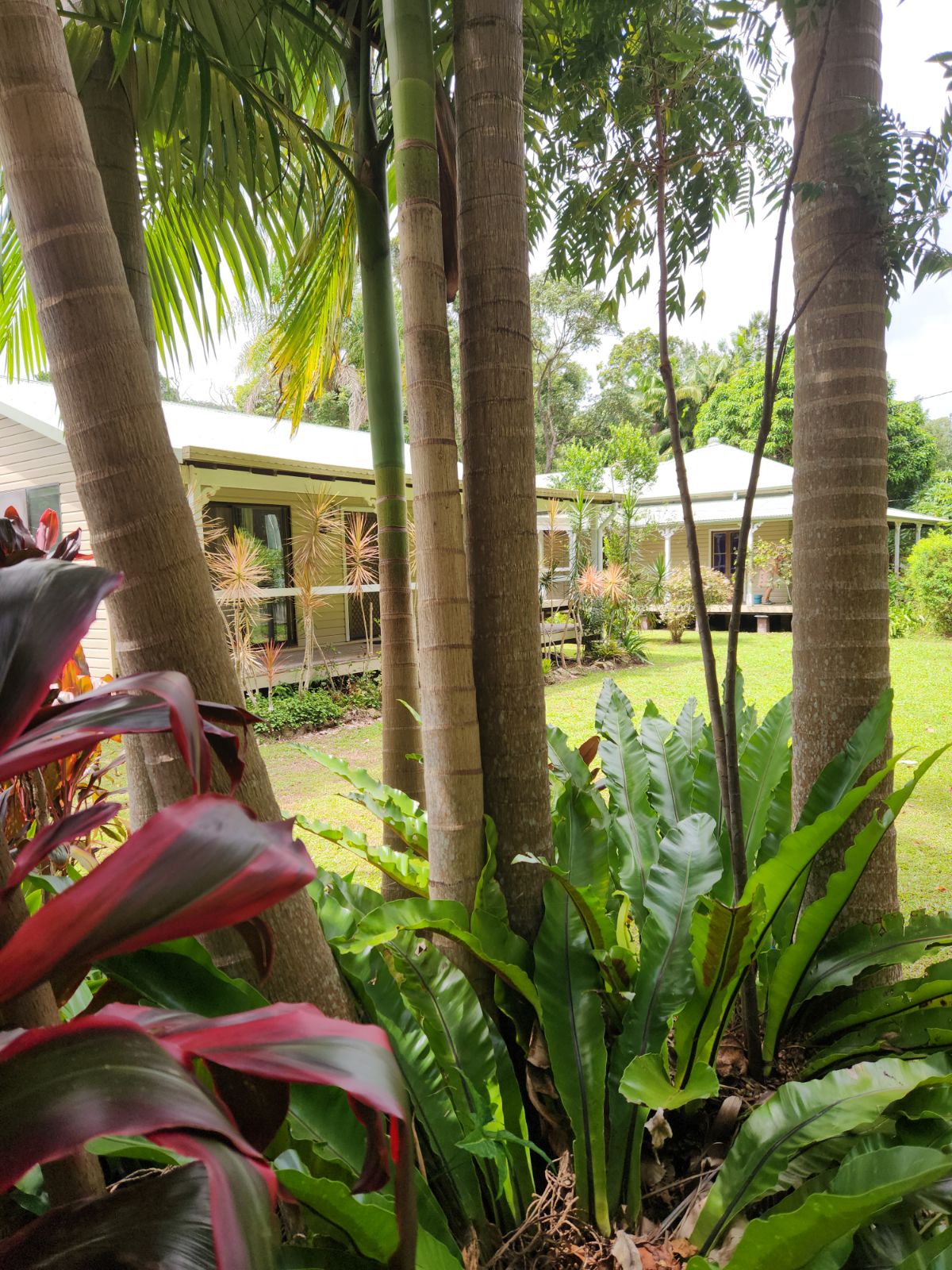 For Sale By Owner Middle Pocket NSW 2483 | 392 Middle Pocket Road