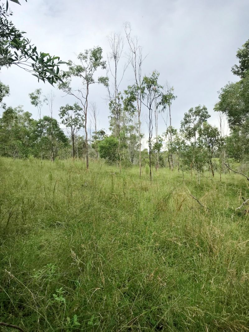 For Sale By Owner Booyal QLD 4671 | Lot 3 Old School Road